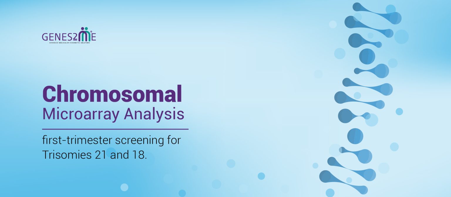 Chromosomal Microarray Analysis Test During Pregnancy Genetic Screen